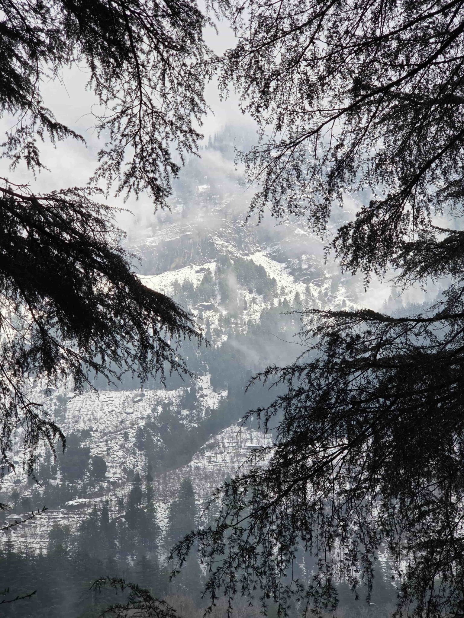 A Complete Travel Guide to Manali: What to See and Do
