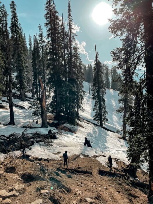 Dalhousie - Snow Valley Resorts